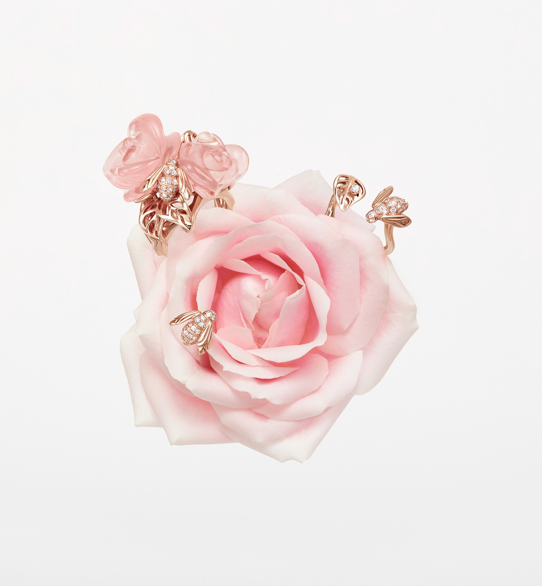 La Rose Dior - JOAILLERIE & HORLOGERIE | DIOR