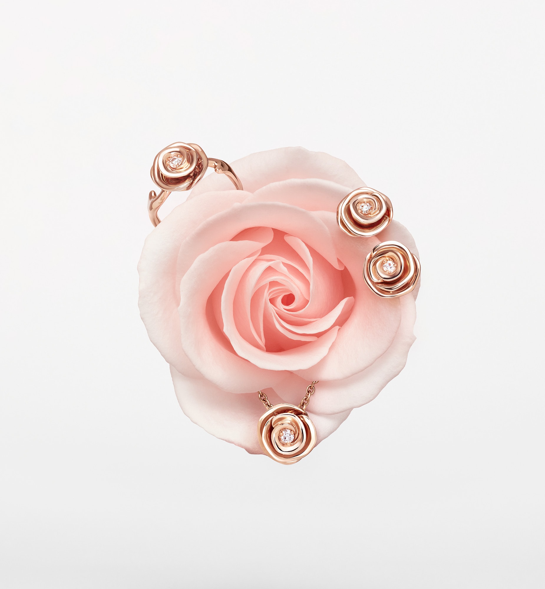 La Rose Dior - JOAILLERIE & HORLOGERIE | DIOR