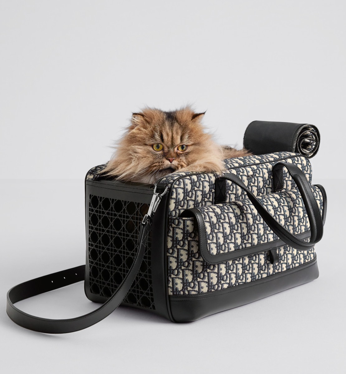 宠物配饰 - 配饰 - 男士精品 | DIOR